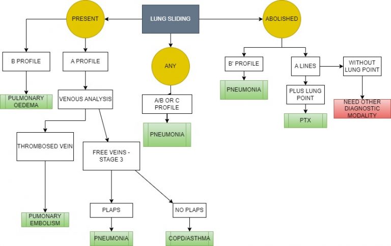 The BLUE Protocol in Lung Ultrasound – Handbook of Point of Care ...